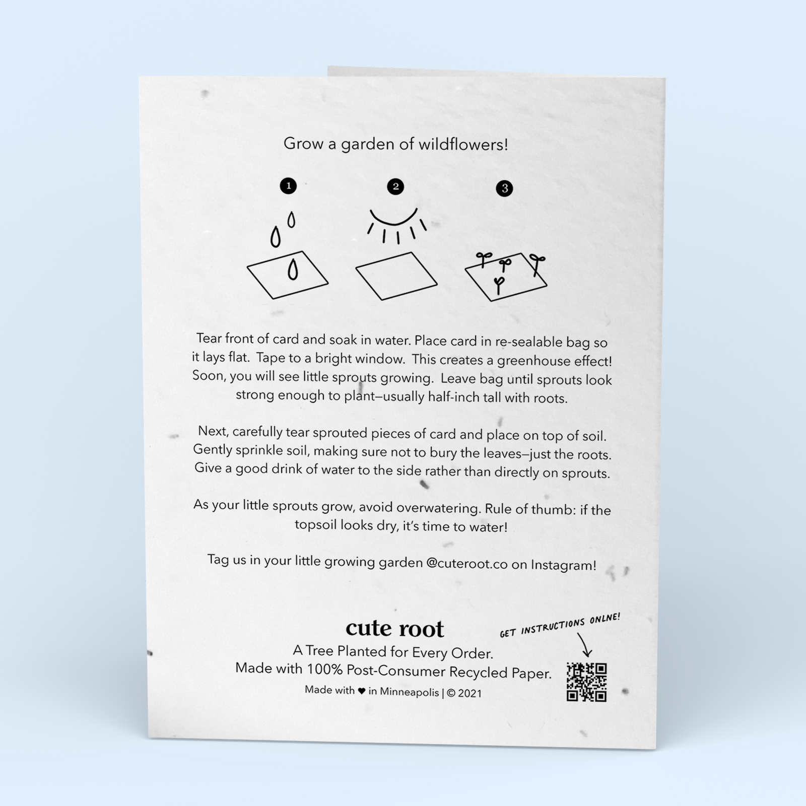 Assorted Botanical Pack | Everyday Card | Cute Root